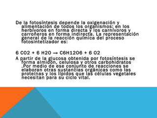 Fotosintesis y respiracion celular | PPT
