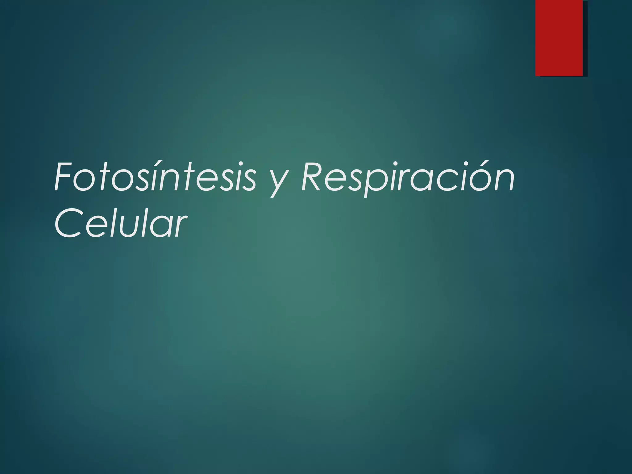 Fotosíntesis y Respiración Celular | PPT