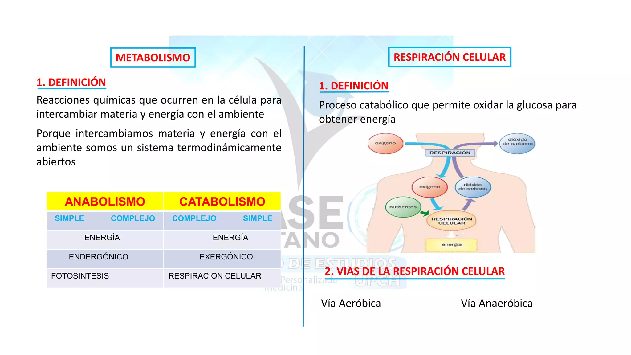 FOTOSINTESIS Y RESPIRACION CELULAR .pdf