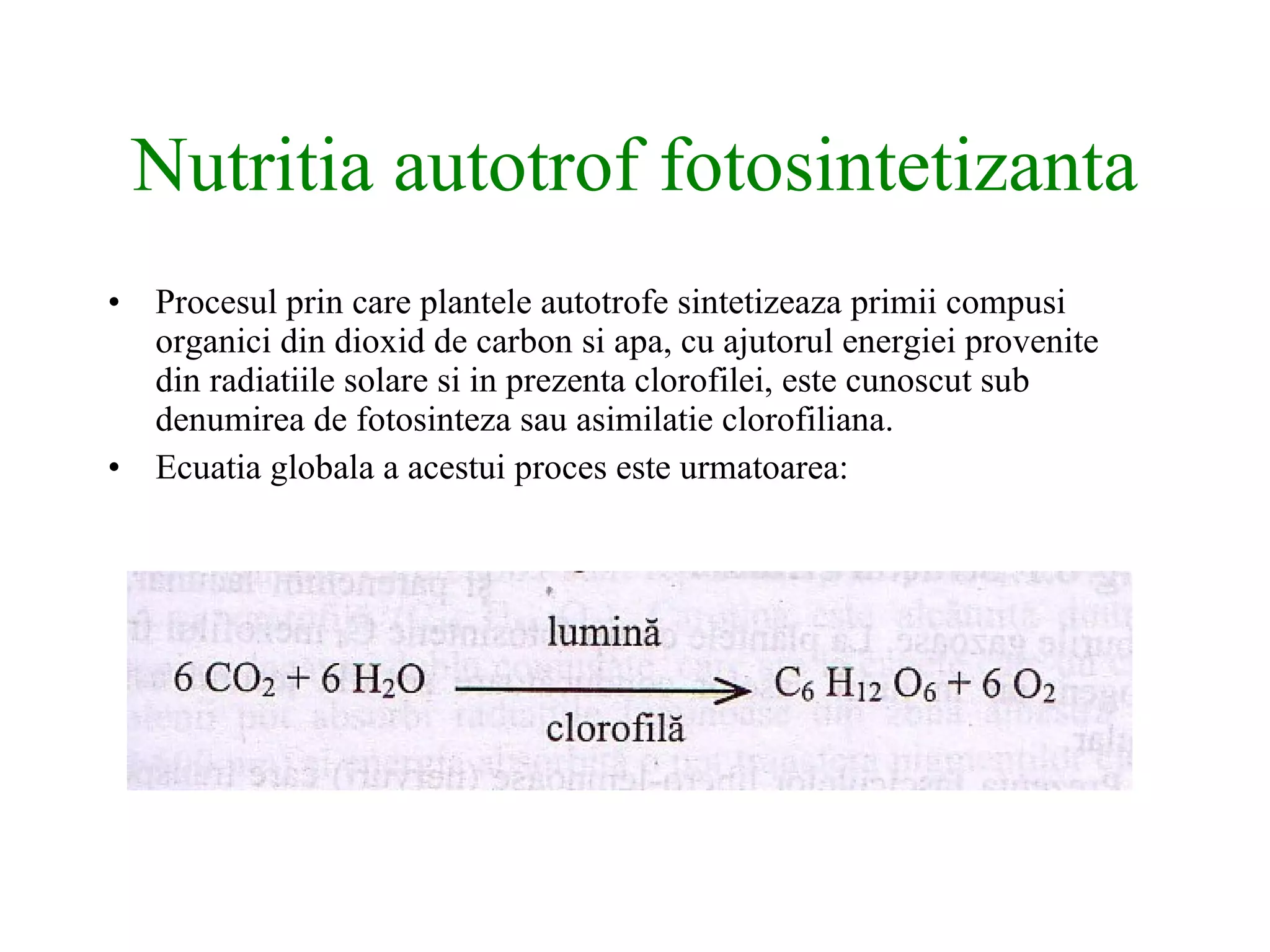 Fotosinteza | PPT
