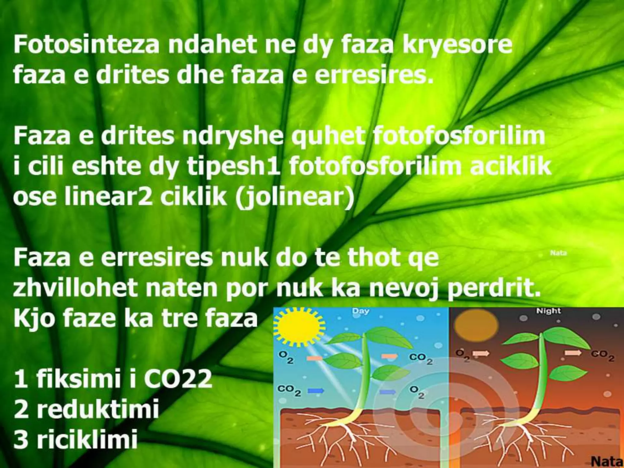 Procesi i Fotosintezes | PPTX