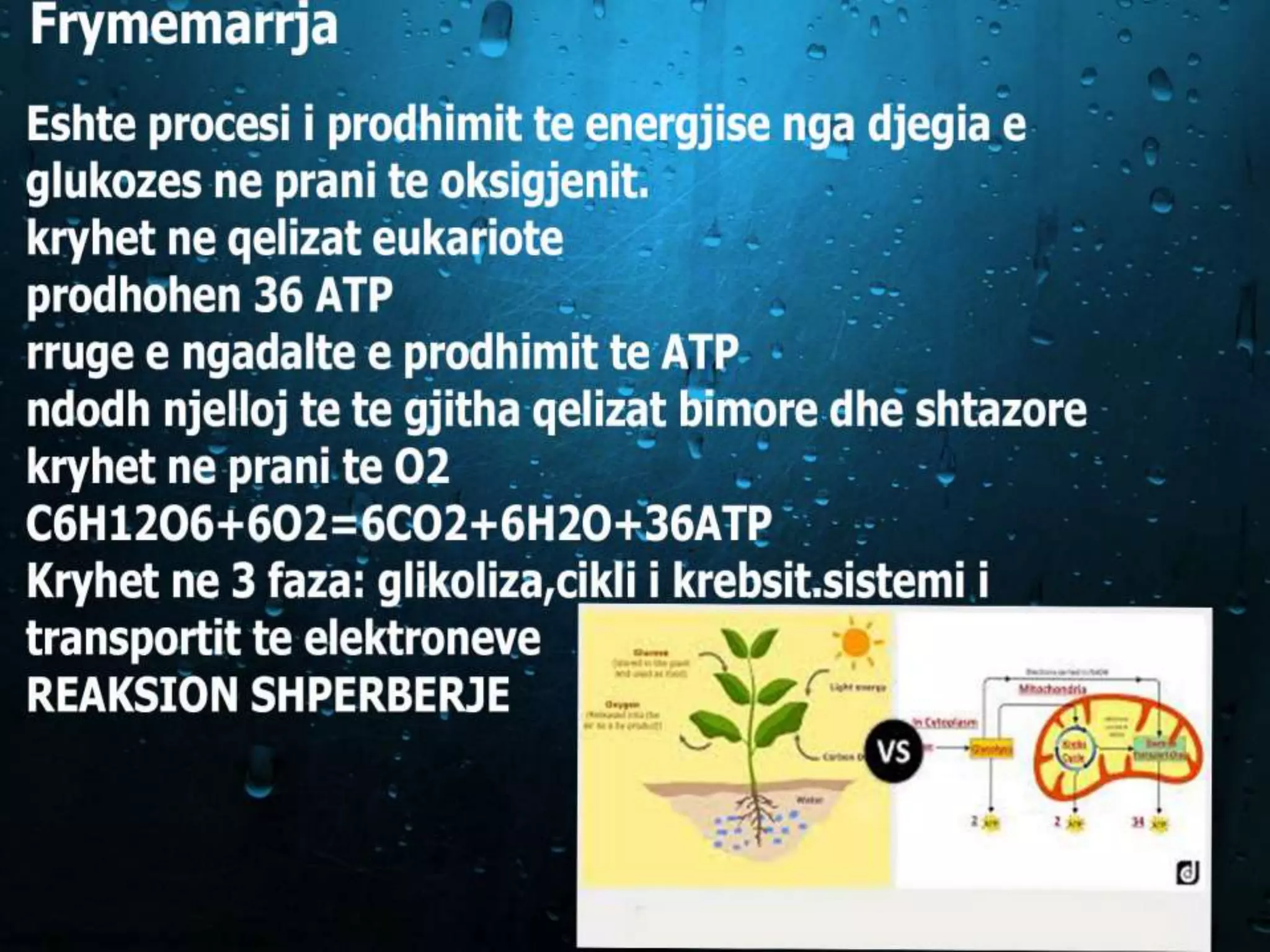 Procesi i Fotosintezes | PPTX