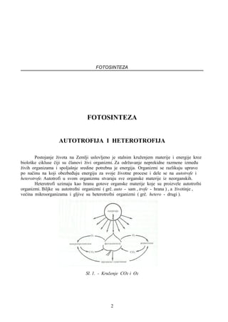 Fotosinteza | DOC