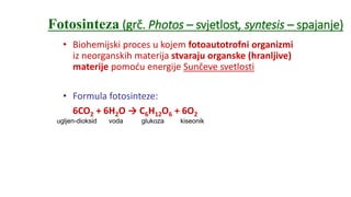 Fotosinteza.pdf