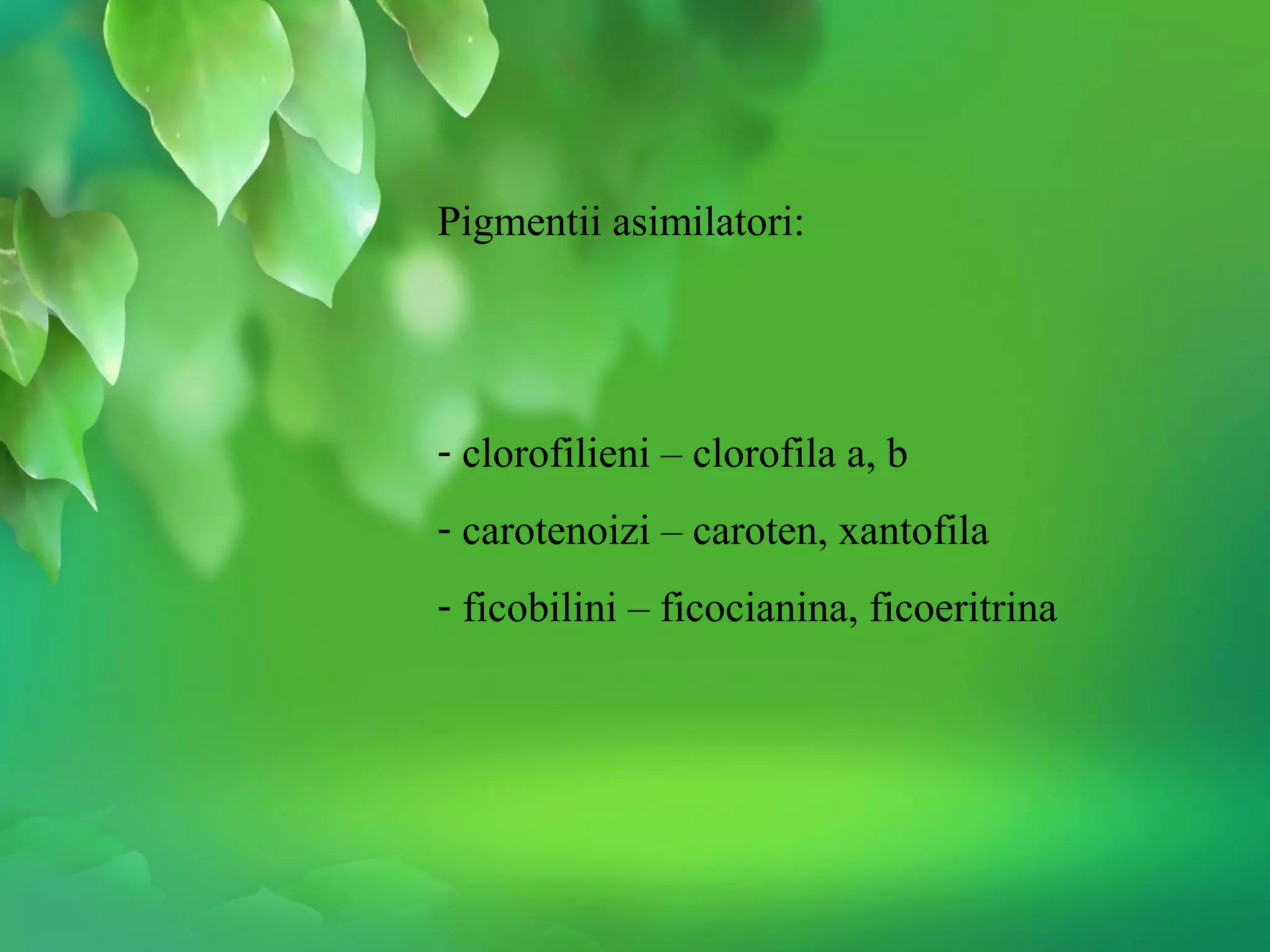 Fotosintezamodificat | PPT