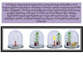 Fotosintezi 200422145723 | PPT