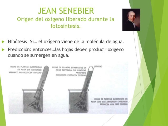 Jean Senebier Experiment