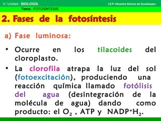 Fotosíntesis | PPT