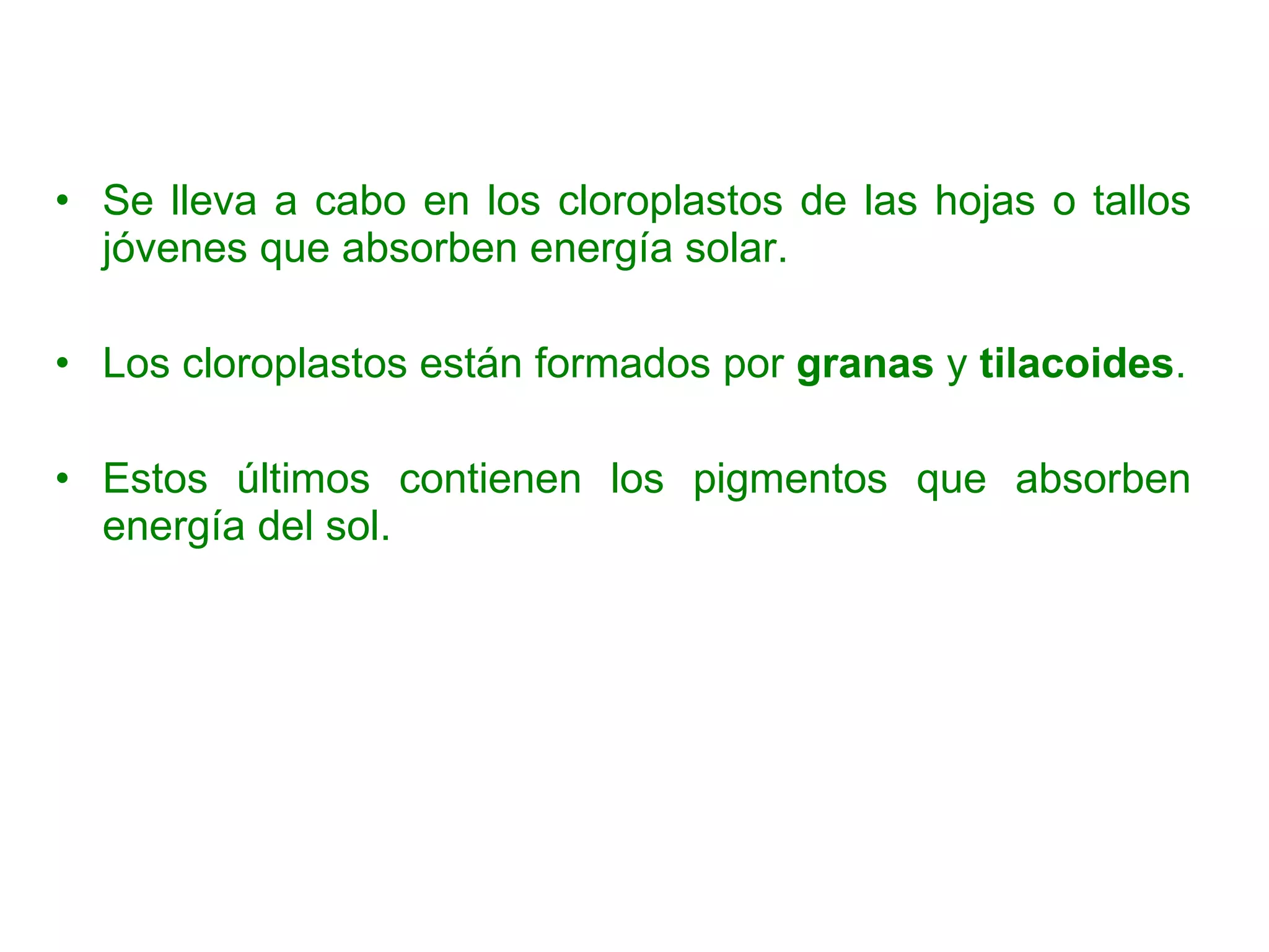 Fotosíntesis y respiración celular | PPT