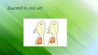 Fotosynthese w.a.dean