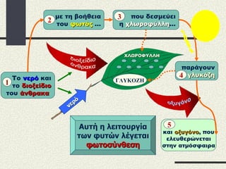 ΦΩΤΟΣΥΝΘΕΣΗ | PPT