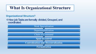 Foudation of organization structure | PPT