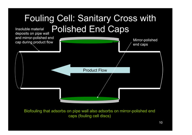 Early Biofilm Detection | PDF