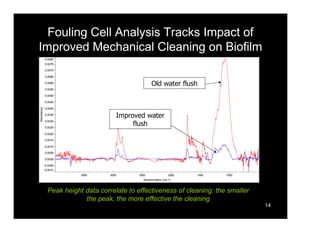 Early Biofilm Detection | PDF