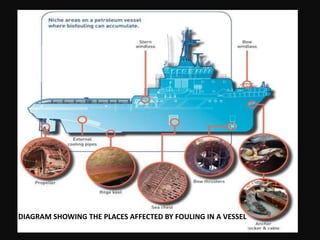 Fouling organisms | PPTX