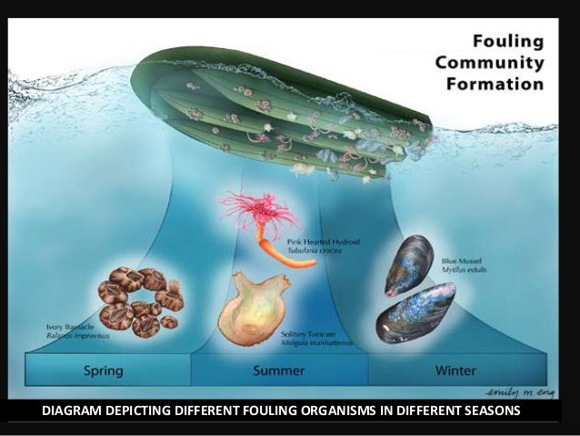 Fouling organisms