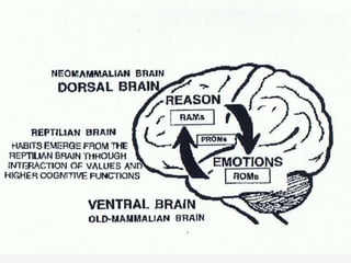 Affective Neuroscience with Jaak Panksepp | PPT