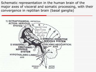 Affective Neuroscience with Jaak Panksepp | PPT