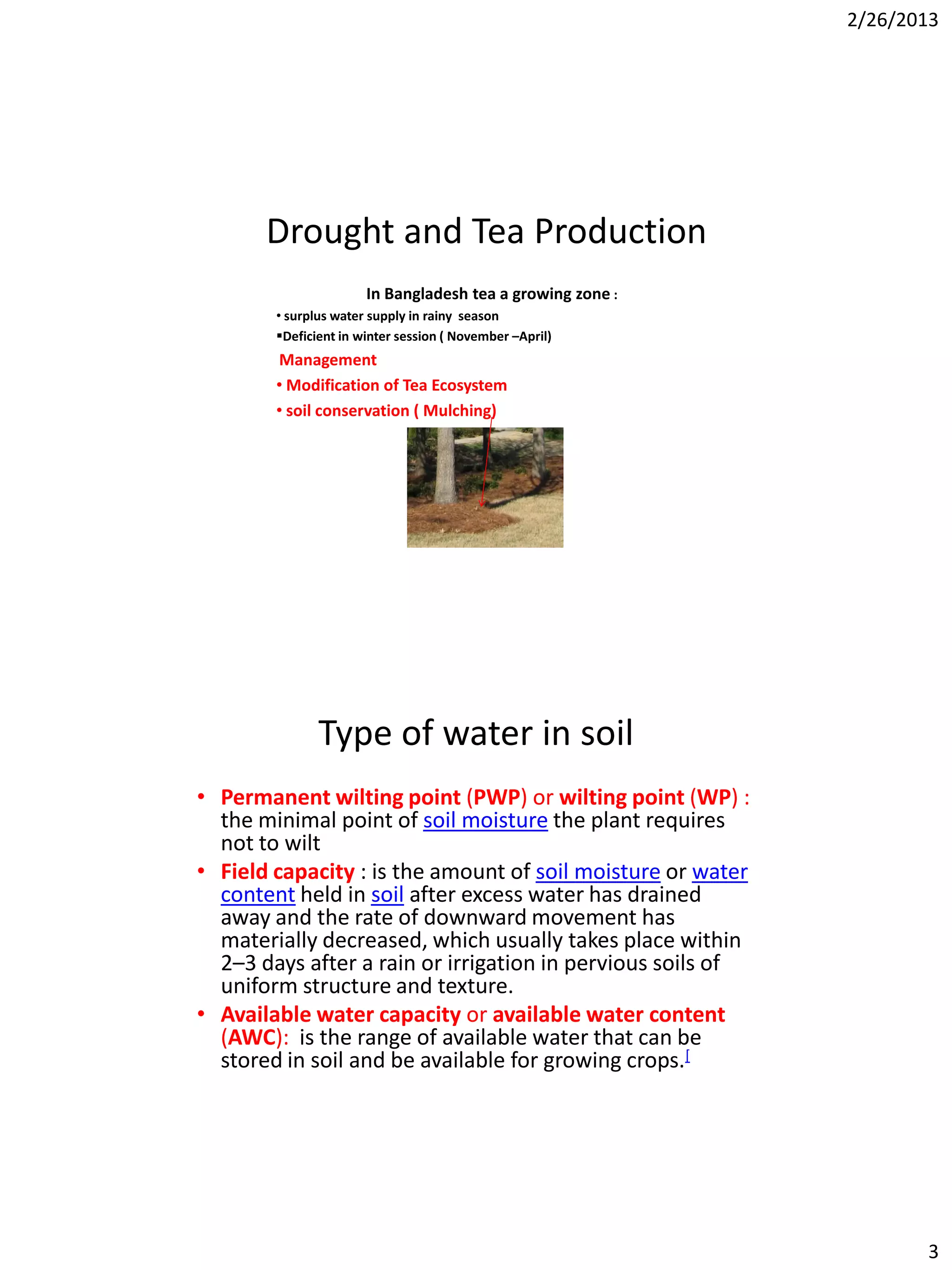 Fundamental Biology of Tea | PDF