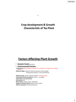 Fundamental Biology of Tea | PDF