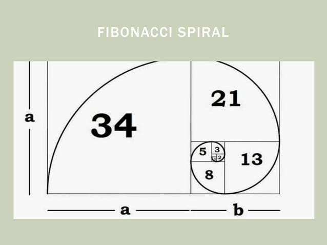 Foundation course in dermal fillers hf