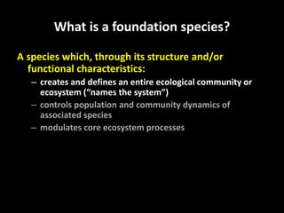 Using large forest plots and codispersion analysis to identify foundation tree species before ...