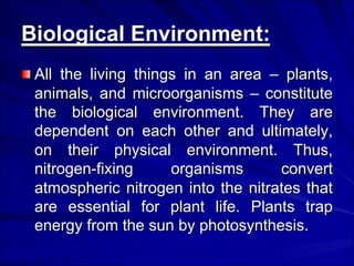 foundation lecture 2.pdf