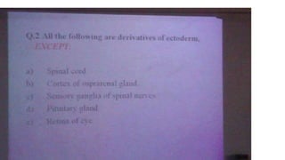 Foundation module | PPTX