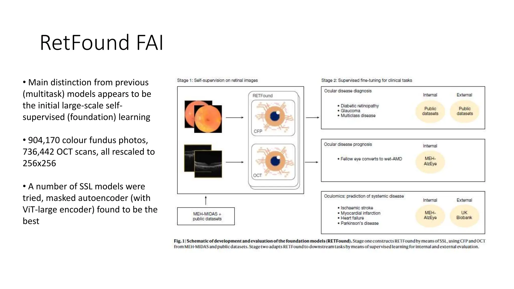 Foundation Multimodels.pptx