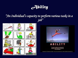 Foundation of individual behaviour | PPTX