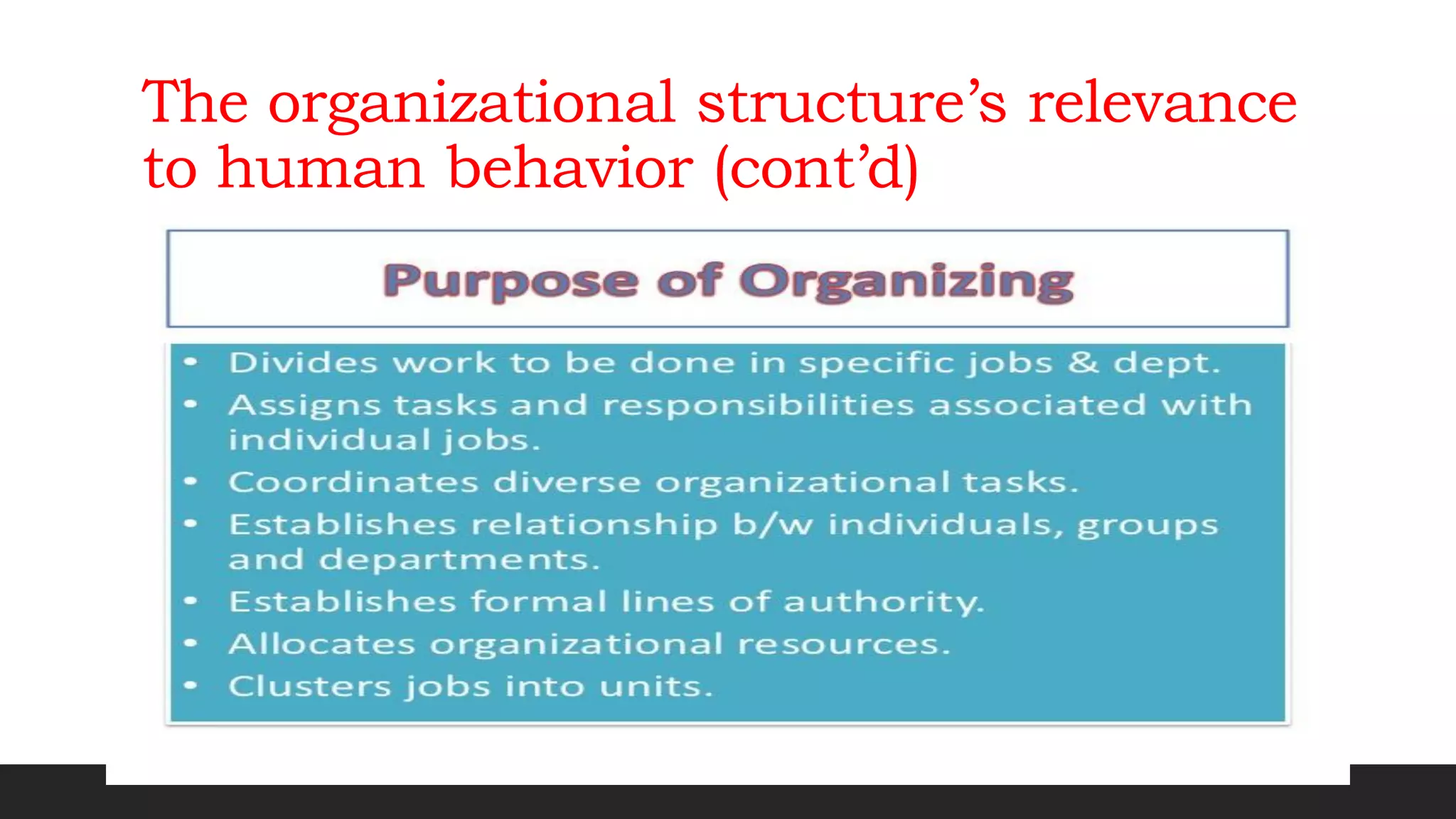 Foundation of organizational structure | PDF
