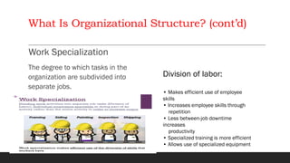 Foundation of organizational structure | PDF