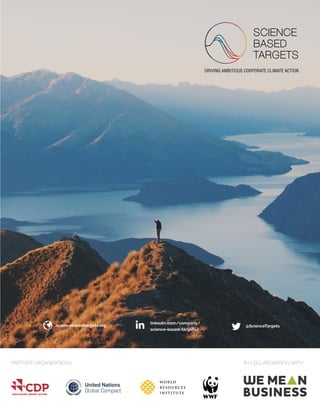 Foundations for Net Zero Target Setting Using a Science Based Approach | PDF