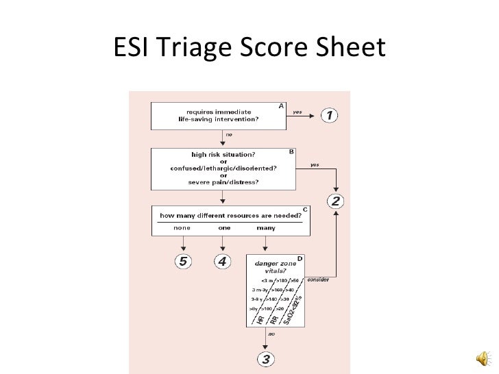 Foundations of ED Nursing