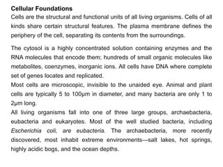 Foundations of biochemistry | PPT