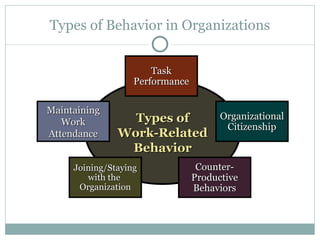 Foundations Of Individual Behavior | PPT