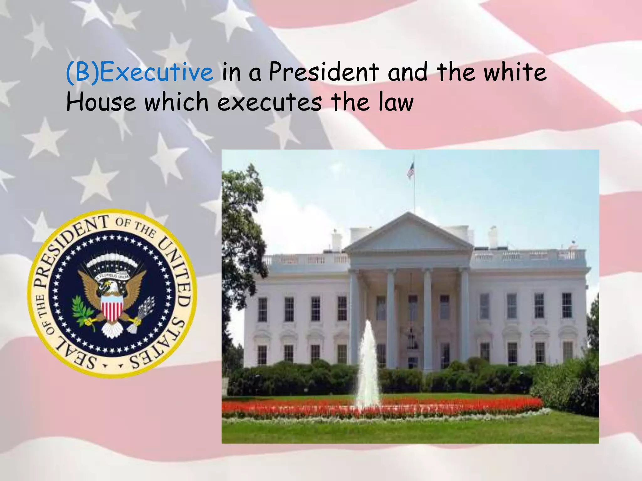 Foundations of the american political system | PPTX | Civic affairs ...