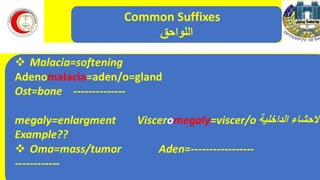 Foundation suffix lec1.pdf