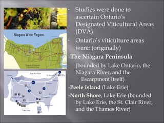 Founding The Vqa | PPT