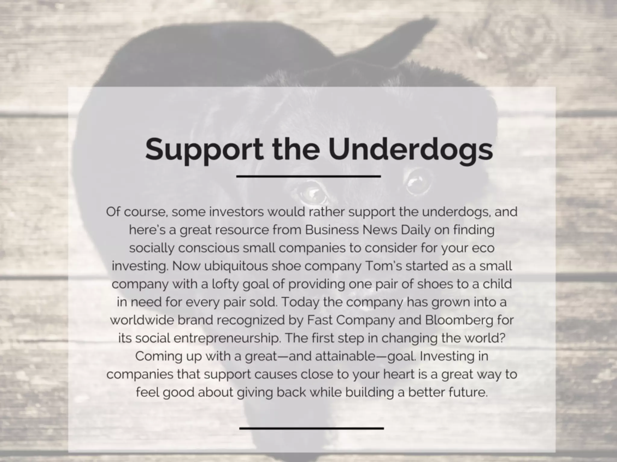 Ritchie Capital Management: Four Eco Investing factors | PDF | Personal ...