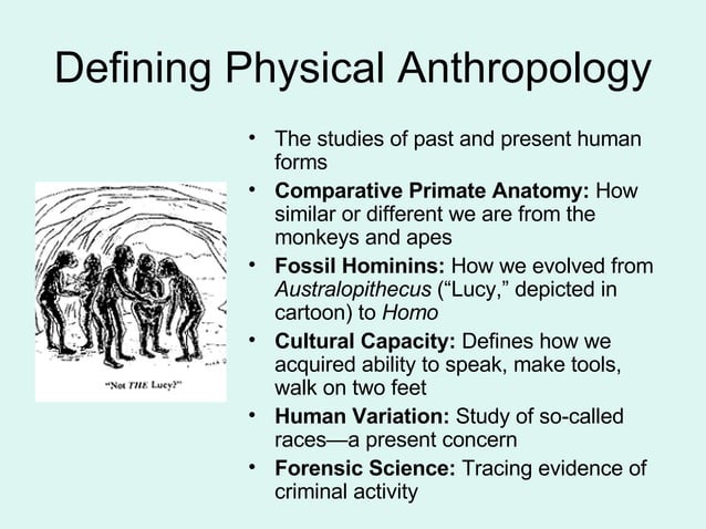 Four Fields in Anthropology | PPT