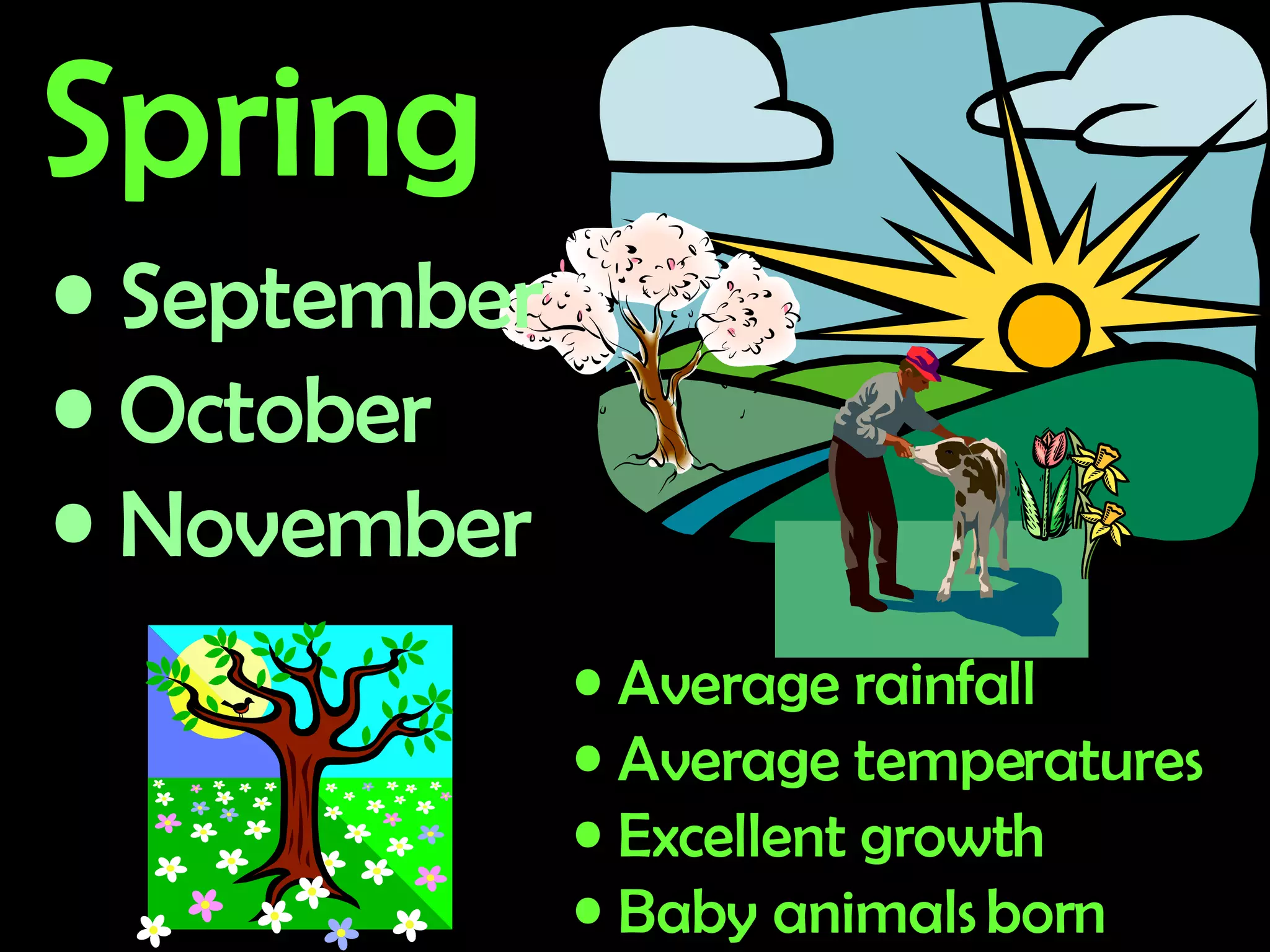 Four Seasons in New Zealand | PPT