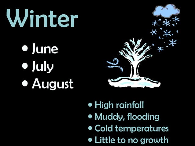 Four Seasons in New Zealand | PPT | Weather | Science
