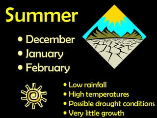 Four Seasons in New Zealand | PPT | Weather | Science