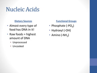 Four classes of macromolecules | PPT