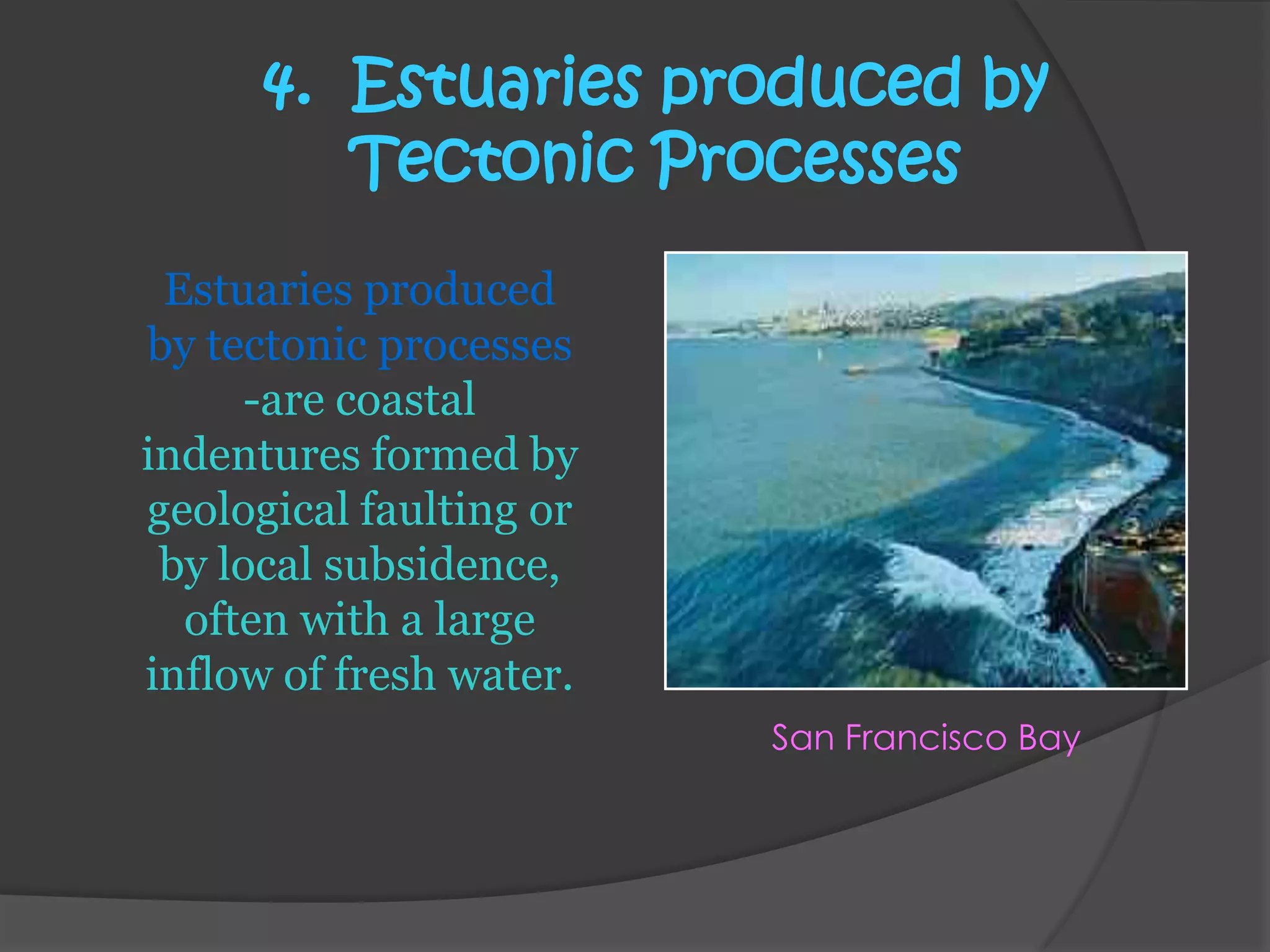 Four divisions of estuary | PPTX