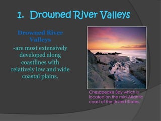Four divisions of estuary | PPT