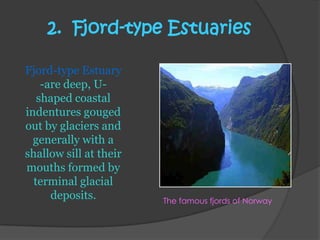 Four divisions of estuary | PPT