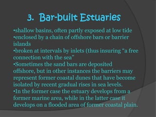 Four divisions of estuary | PPT