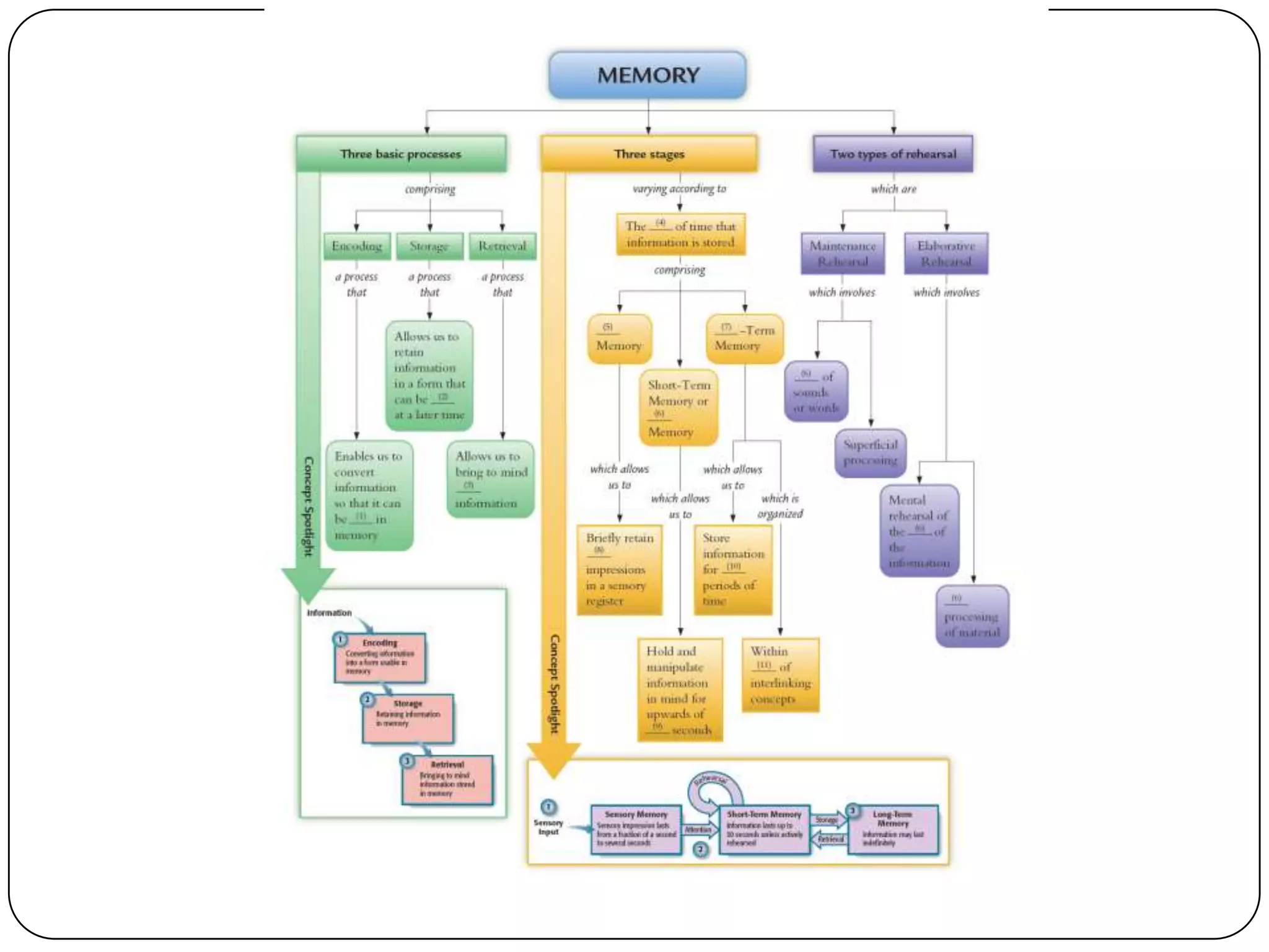 The Four E's of Effective Learning: Teaching Tips for Helping Students ...
